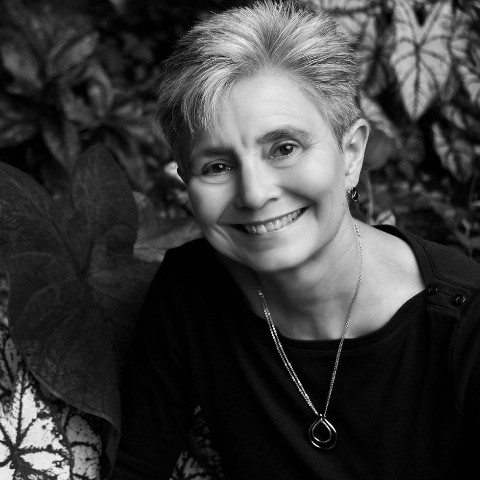 About - Bending the Arc Project